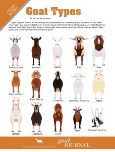 Goat Types - Goat Journal